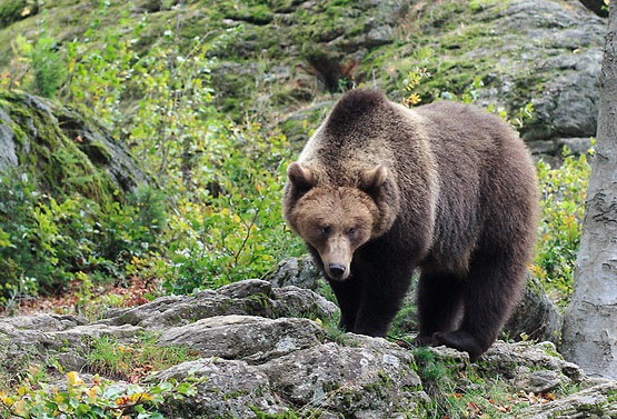 arton3600.jpg?1583600237