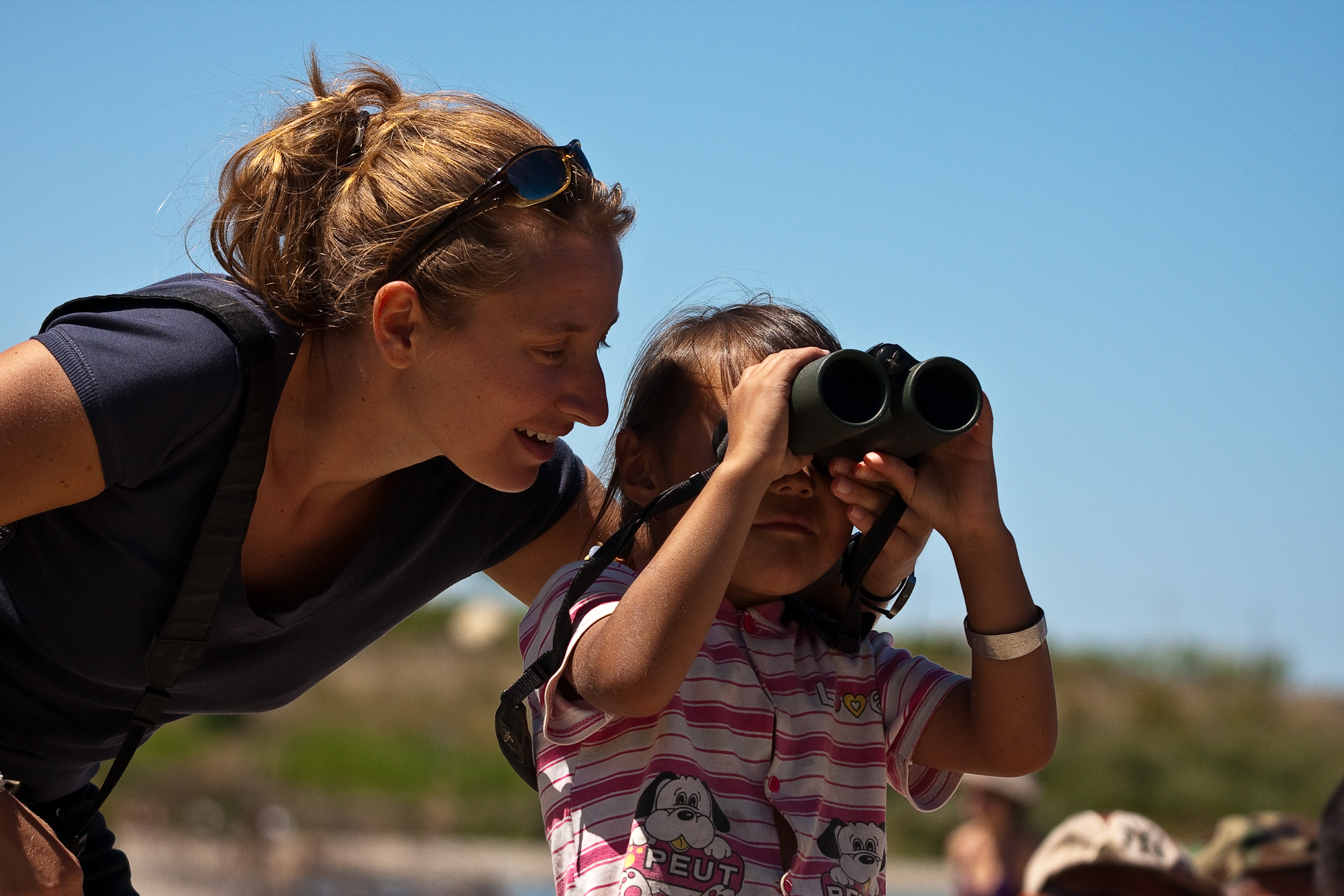 arton3885.jpg?1650023591