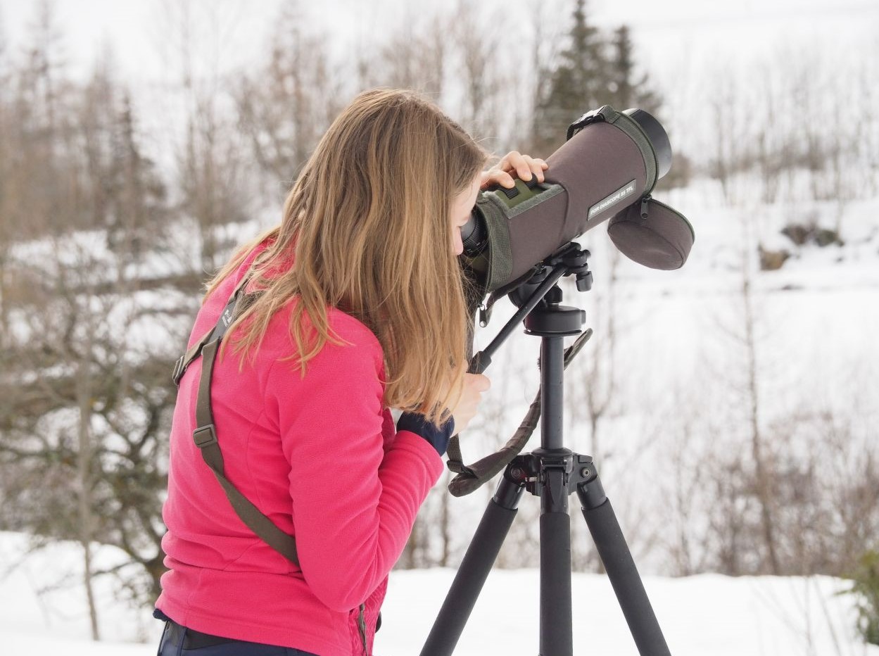 arton3942.jpg?1673427410